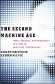 (The) second machine age: work, progress, and prosperity in a time of ...